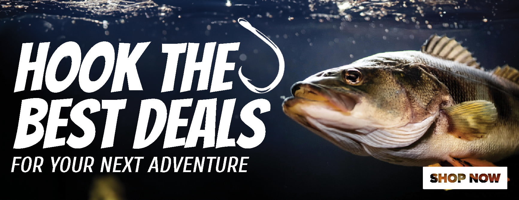 Shop Discount Fishing Equipment for Sale | Sportsman's Outdoor Superstore